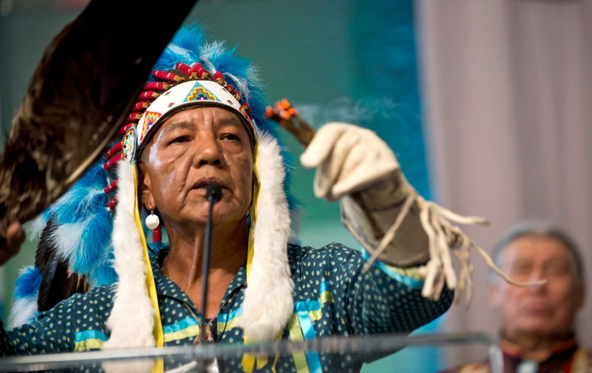 An Indigenous Peoples’ Statement to the World | PaGaian Cosmology